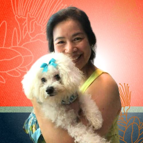 STYLISH POOCH: Island-Style Pet Couture Takes the Spotlight – ShopYWCA